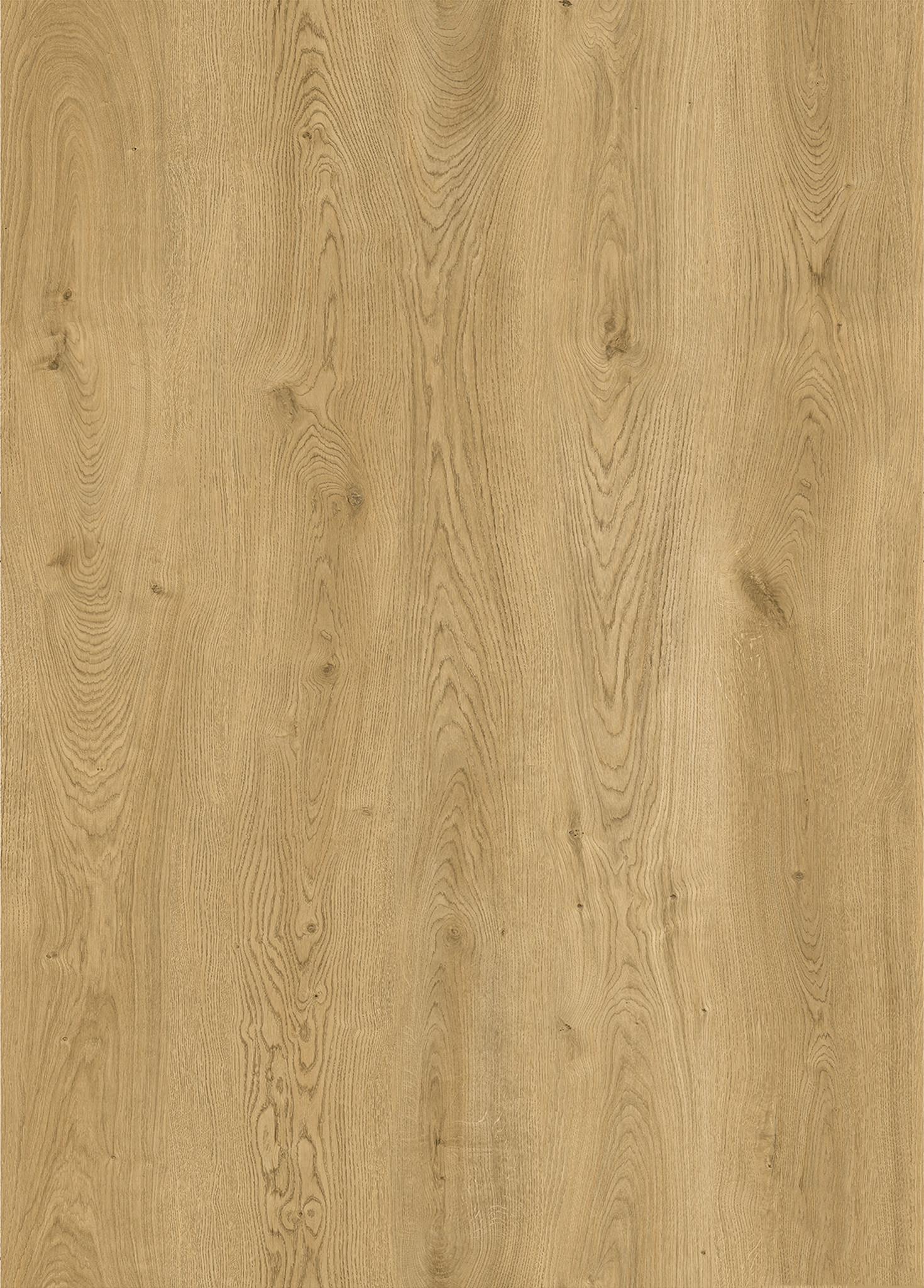 Roble Lima - Willtex